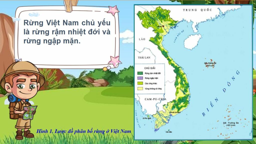 Bài Giảng E-Learning - Địa Lí Việt Nam Đất Và Rừng Môn Lịch Sử Và Địa ...